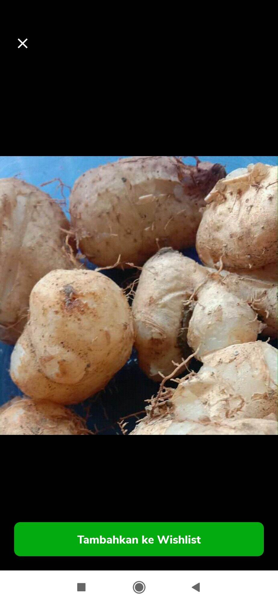 ubi gembili-umbi gembili fresh 1 kg | Lazada Indonesia