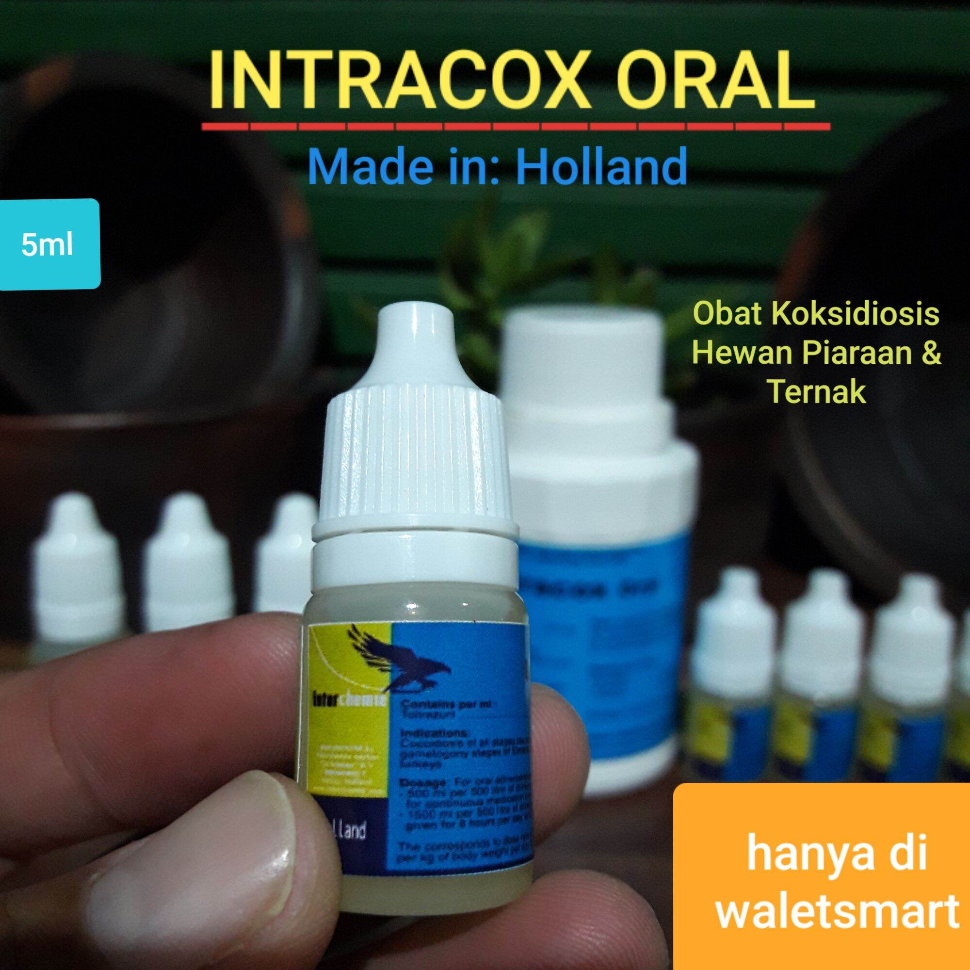 Intracox Oral 5ml Obat Koksidiosis pada Kelinci Kucing Kambing Sapi ...