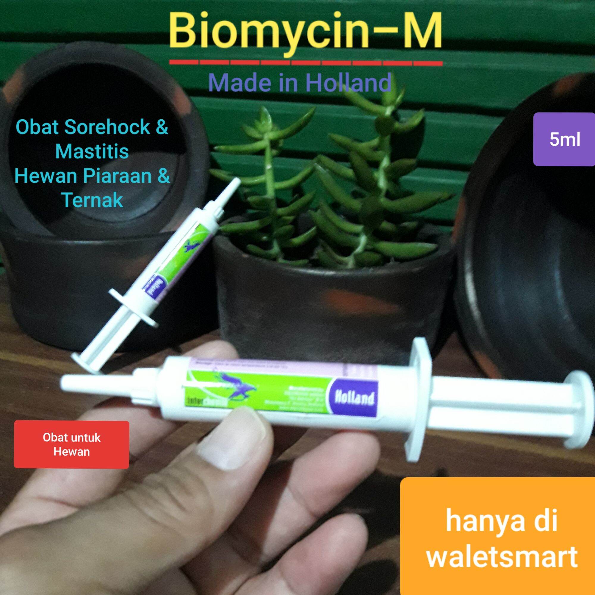 Biomycin - M Obat Sorehock & Mastitis Masa Laktasi pada Kelinci Kucing ...