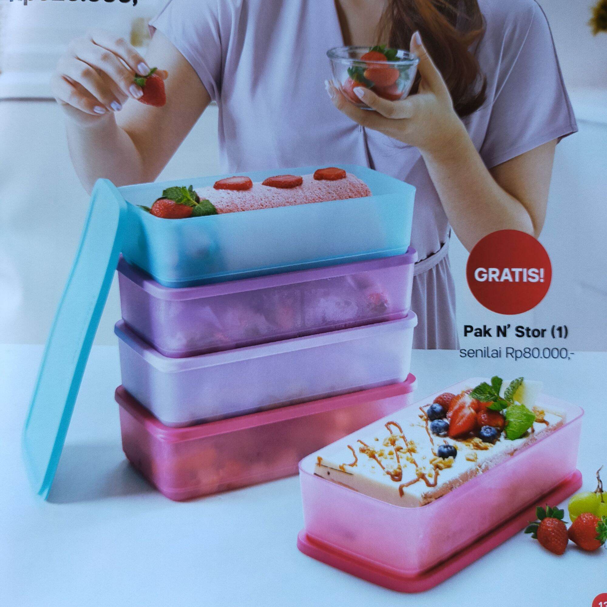 Tupperware Pak N Stor set kapasitas 1,4 Liter / tempat penyimpanan ...