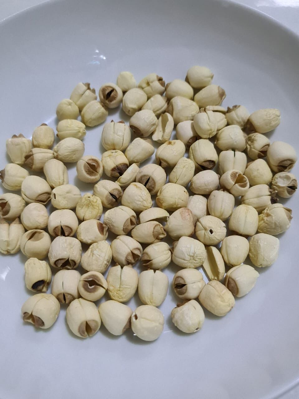 Biji teratai premium/white lotus seeds 250gram | Lazada Indonesia