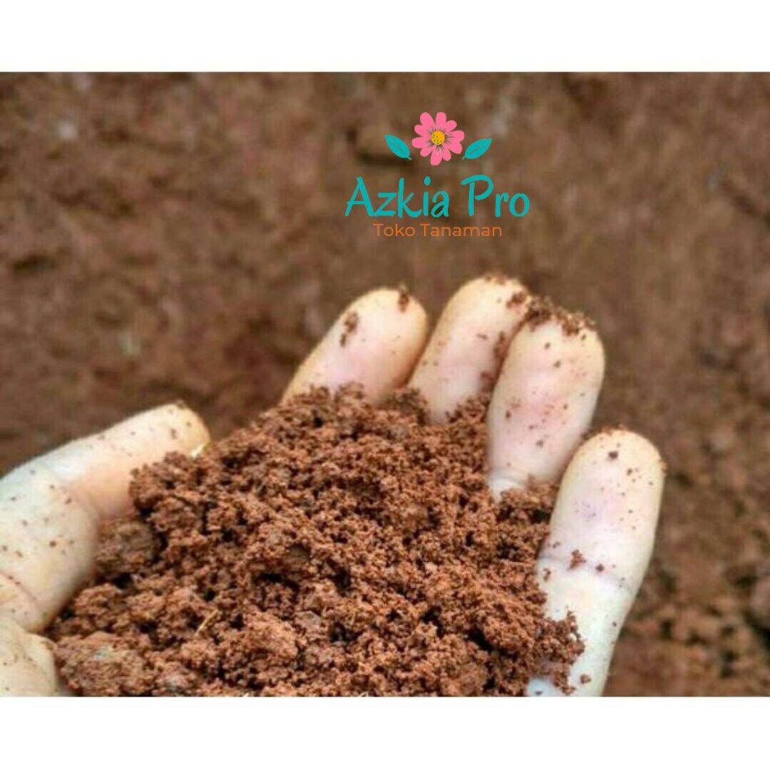 pasir malang merah halus aquascape 1kg | Lazada Indonesia