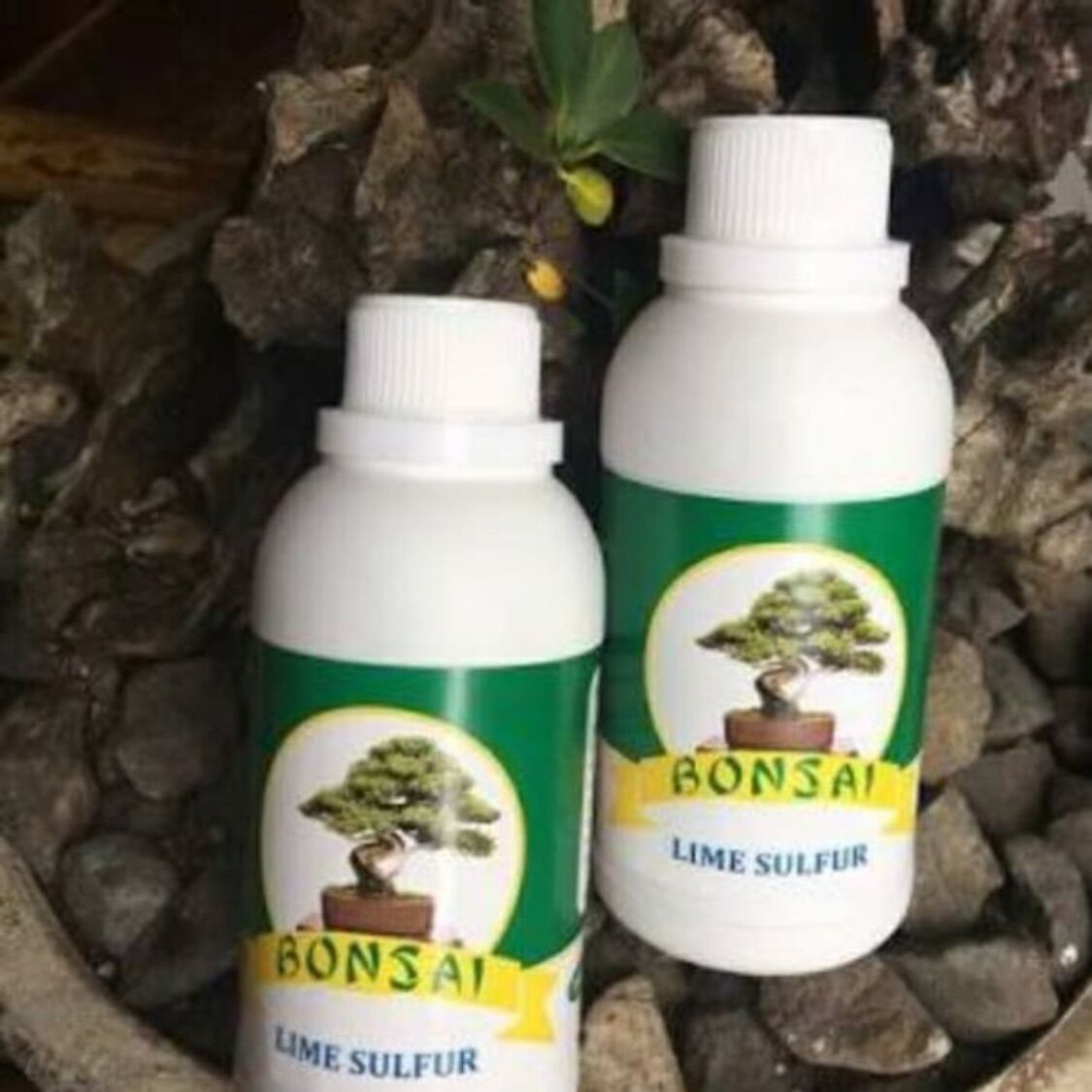 Obat Jin Bonsai Lime Sulfur/ Pengawet batang bonsai | Lazada Indonesia