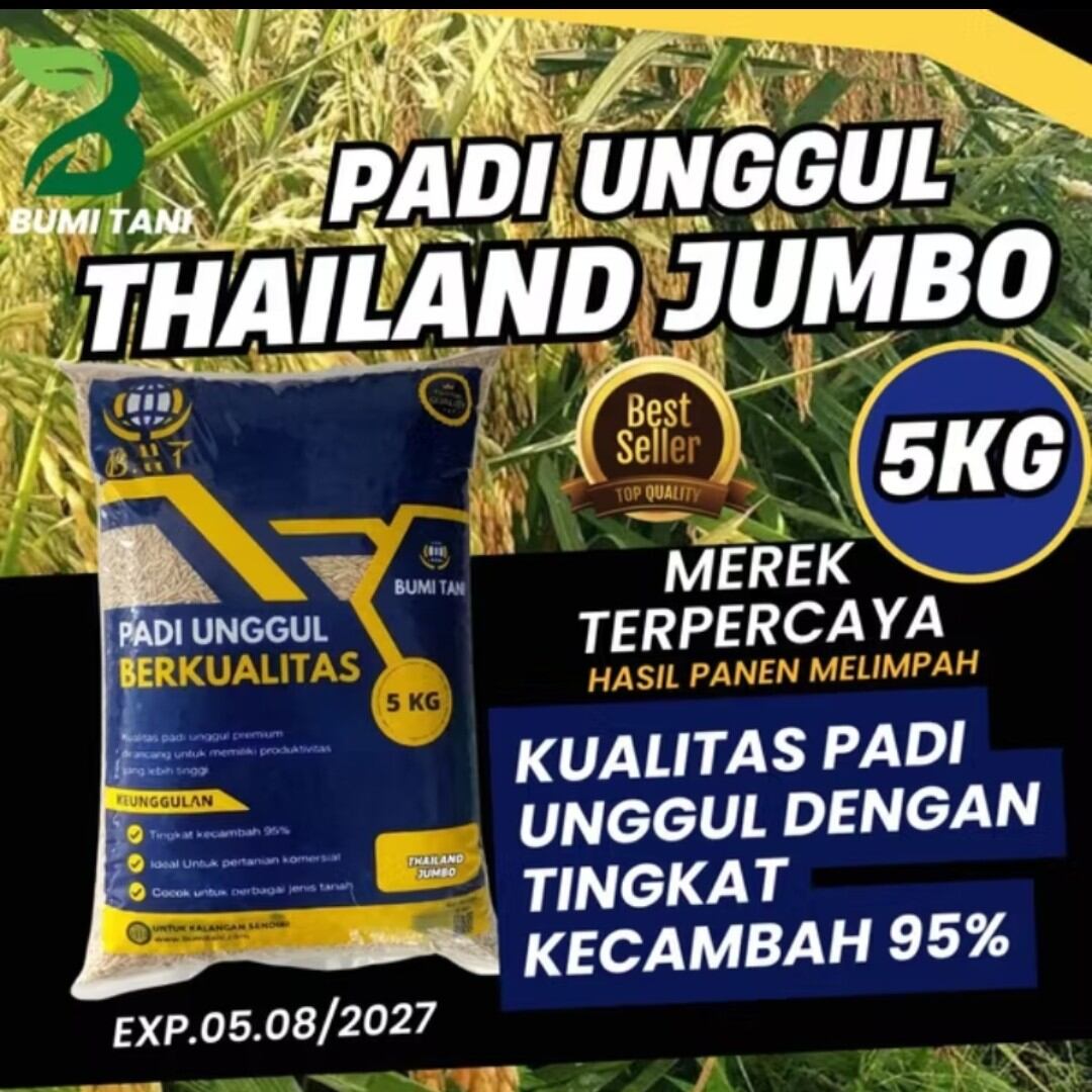 BENIH PADI THAILAND jumbo super unggul berkualitas 1kg | Lazada Indonesia