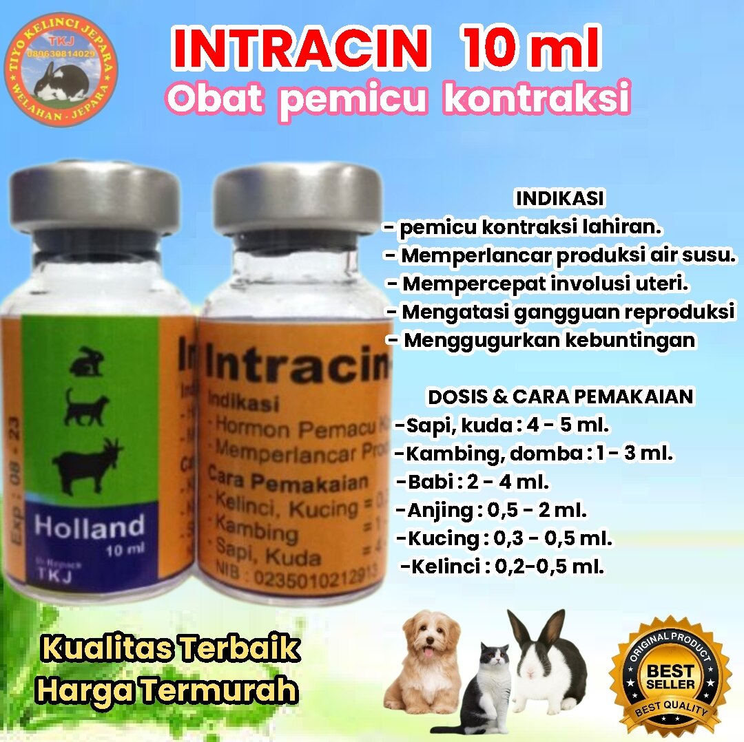 intracin 10 ml obat pemicu kontraksi hewan | Lazada Indonesia