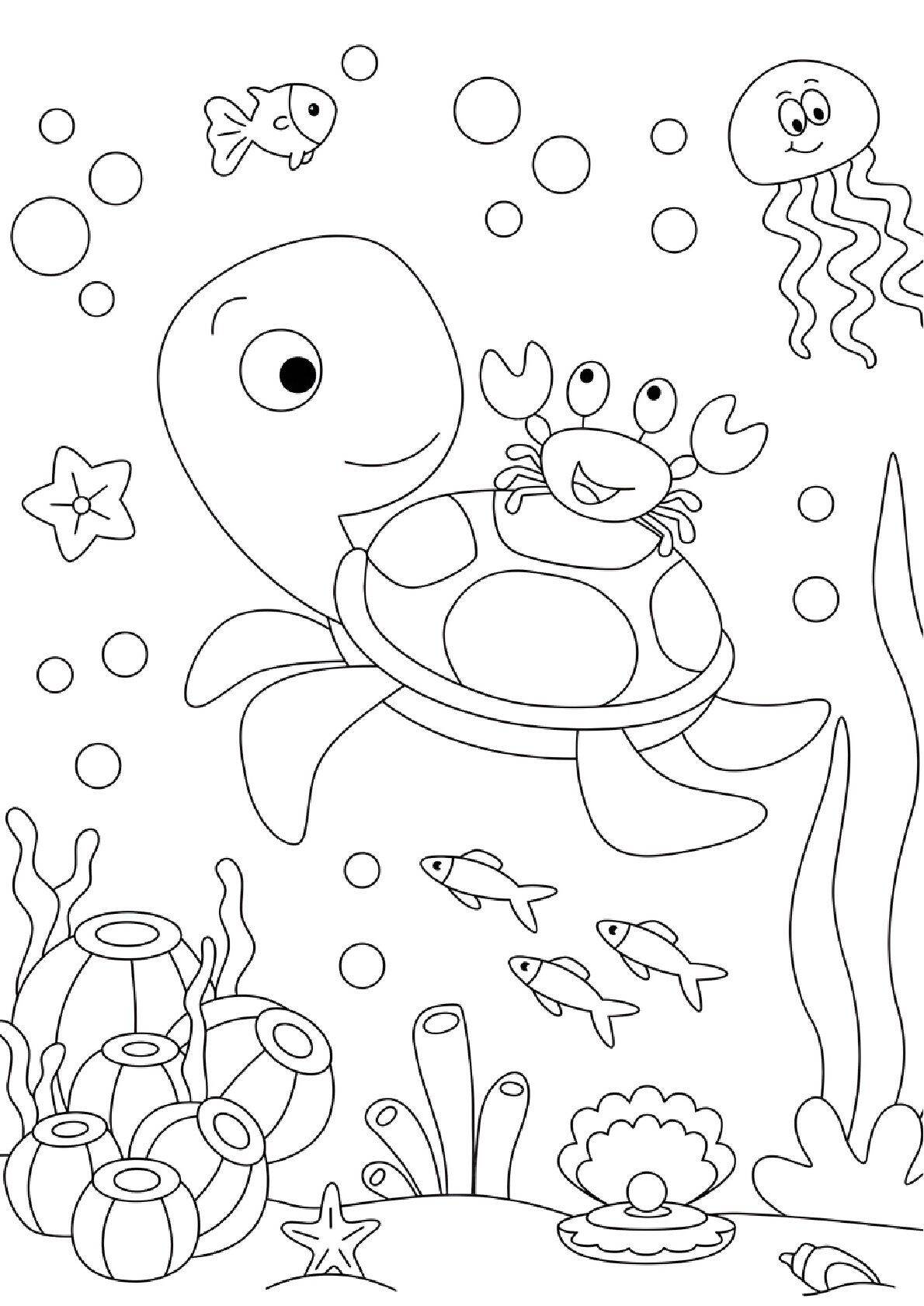 Kertas Gambar Mewarnai A4 Kura kura / Coloring / Sketsa Gambar / Kertas ...