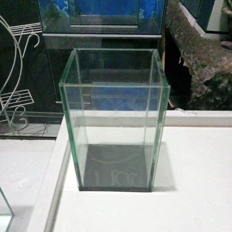 Akuarium Soliter Akuarium Ikan Cupang Akuarium kecil Akuarium Mini ikan ...