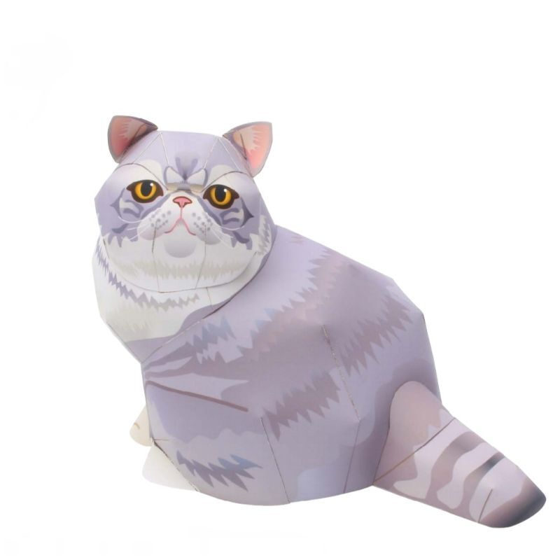 DIY papercraft kucing exotic shorthair/kerajinan kertas/miniatur hewan ...