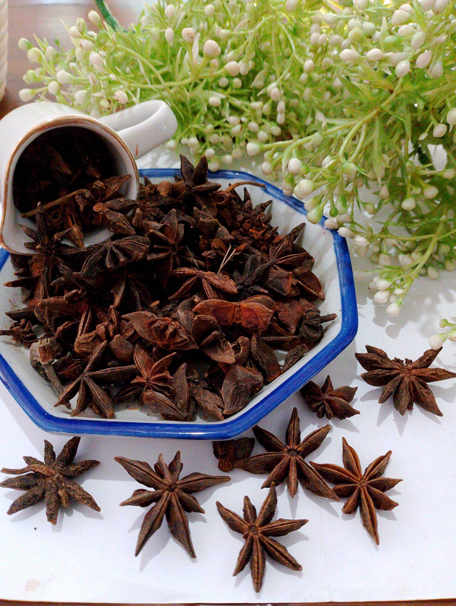 Bunga Lawang bunga bintang pekak 50 gr | Lazada Indonesia