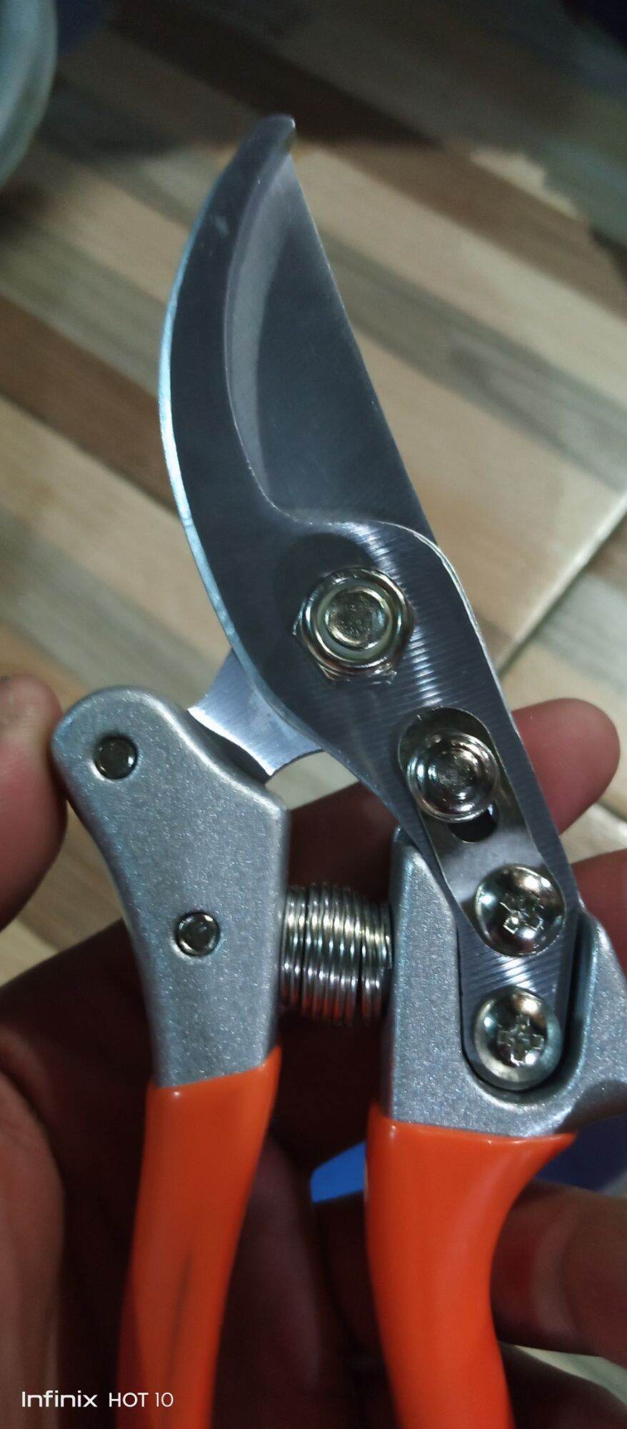 Gunting Dahan Stek Ranting tanaman bonsai muller germany | Lazada Indonesia