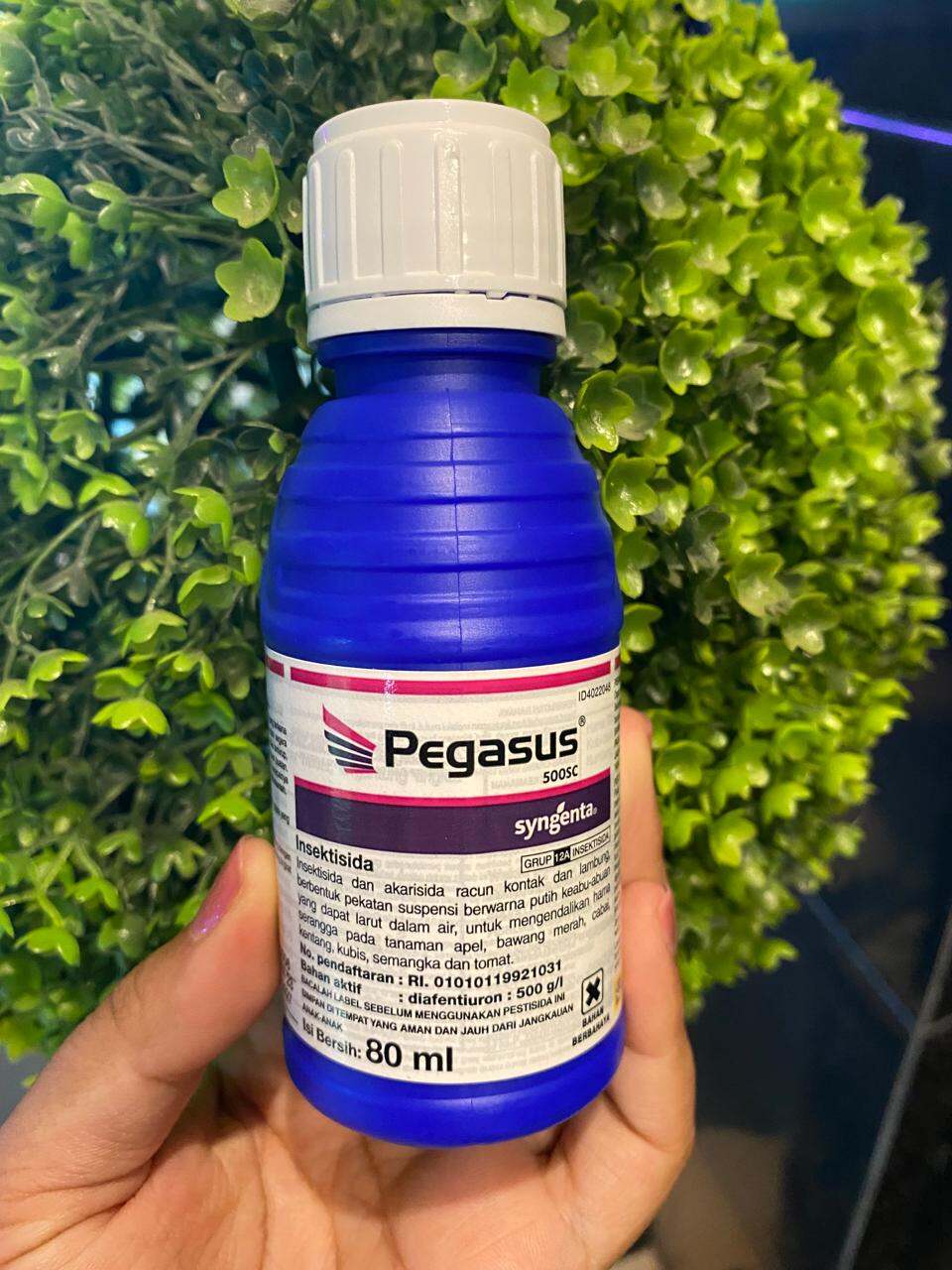 INSEKTISIDA PEGASUS 500SC 80ML Syngenta | Lazada Indonesia