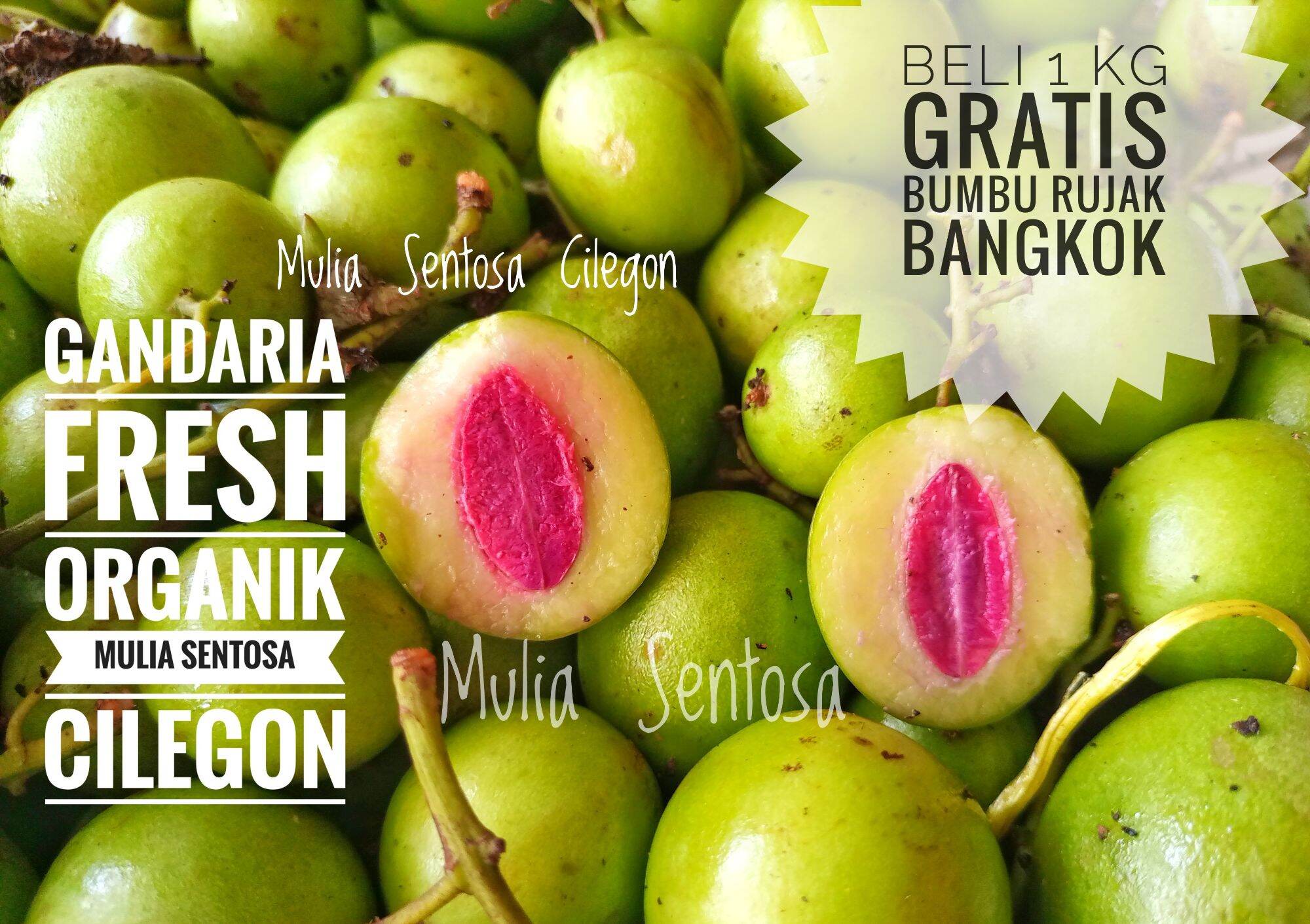 Buah Gandaria fresh organik 1 kg baru petik - Buah Jatake mentah 1 kg ...