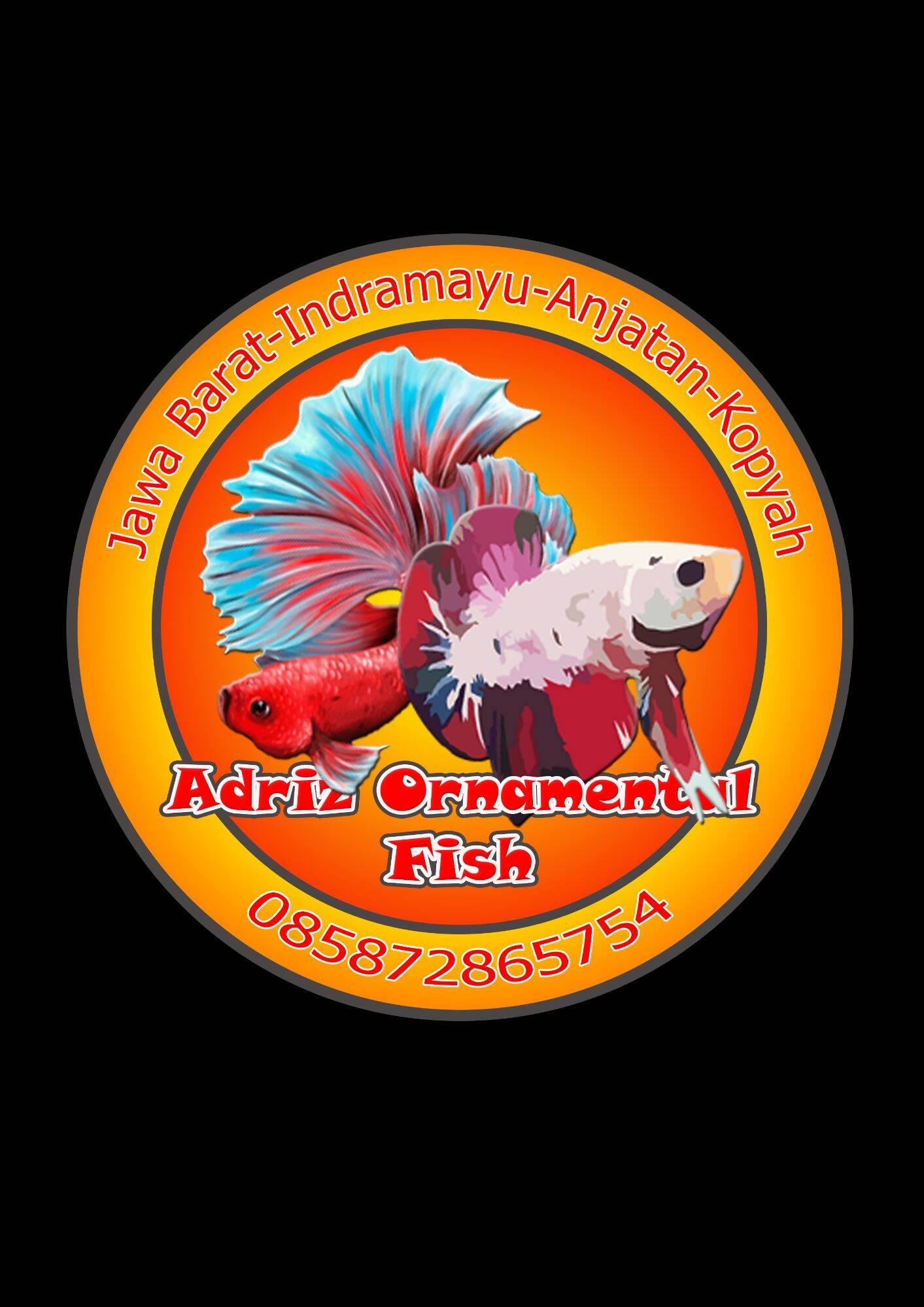 Toko Resmi AO_Fish Online | Lazada.co.id