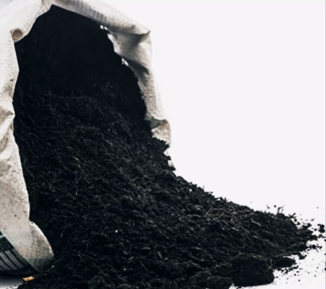 Arang kayu halus 1 kg pupu kompos sangat bagus untuk tanaman | Lazada ...