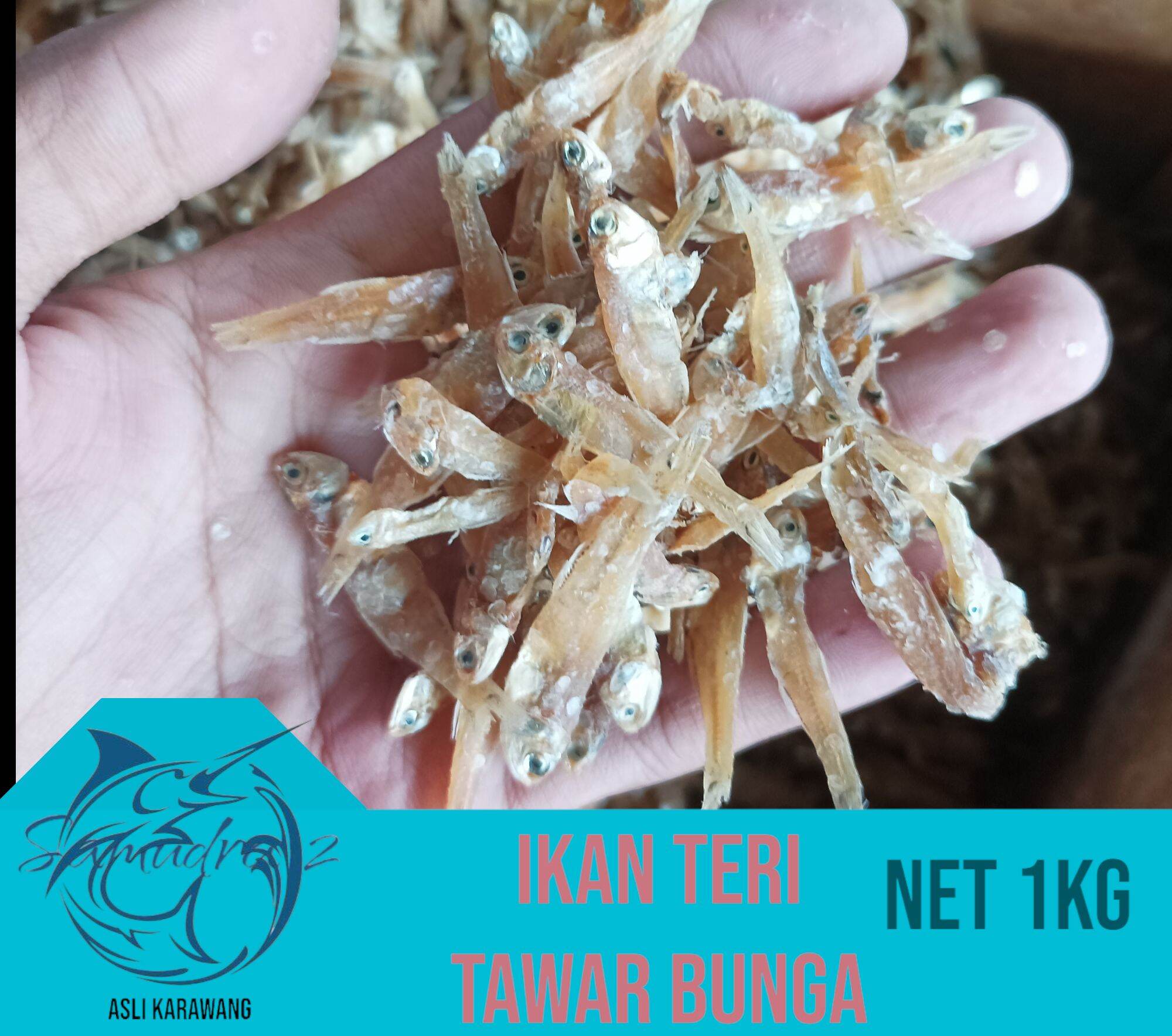 Ikan Asin Teri Tawar Bunga 1kg | Lazada Indonesia