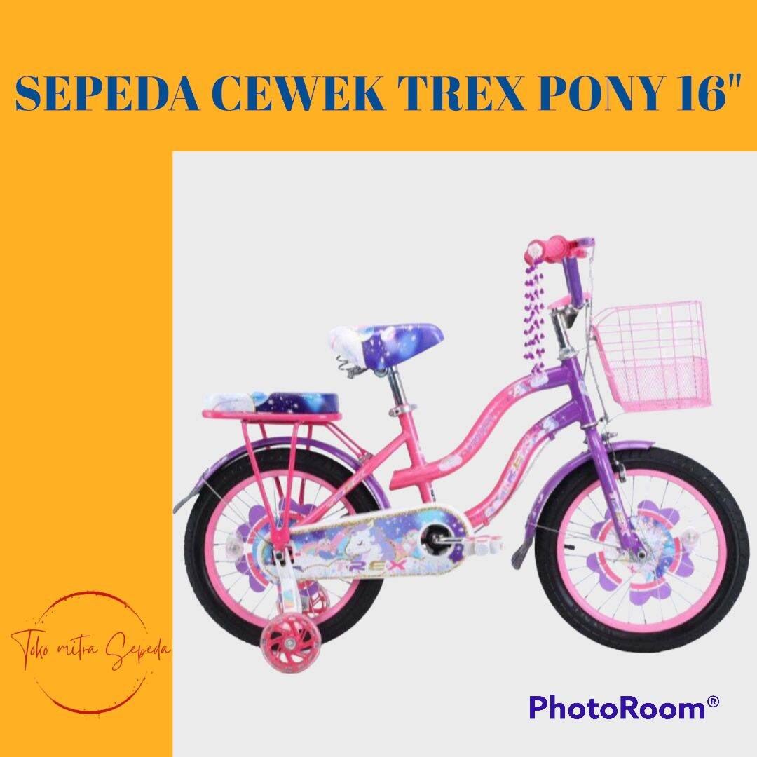 Sepeda Ukuran 16 Inch Trek Kuda Pony | Lazada Indonesia