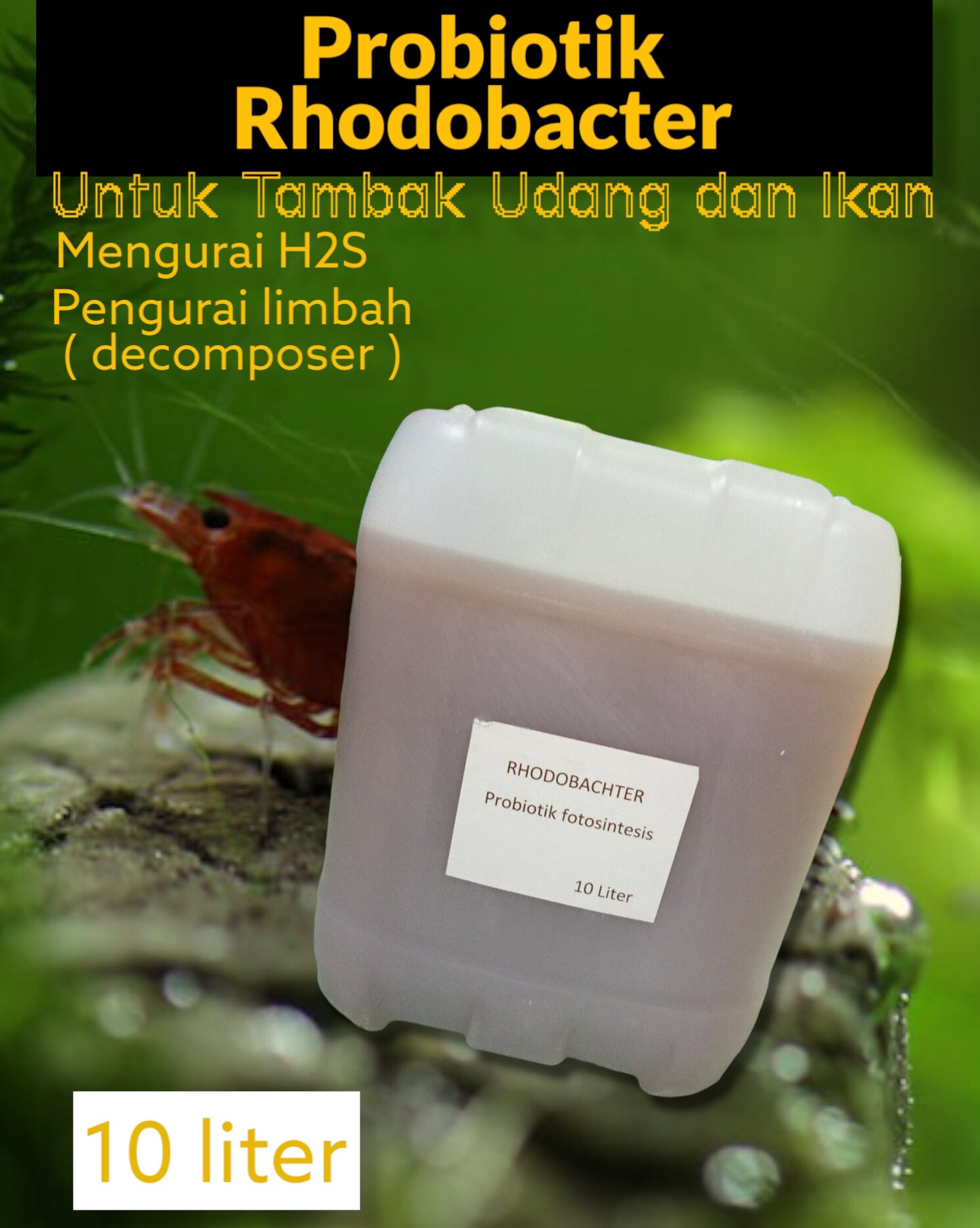 Probiotik Tambak Udang dan Ikan RHODOBACTER 10 Liter | Lazada Indonesia
