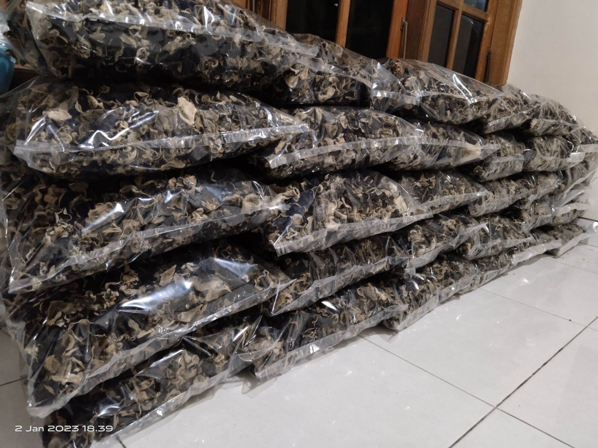 jamur kuping kering hitam, jamur kuping kering 1 kg, jamur hitam, jamur ... jamur kuping kering hitam, jamur kuping kering 1 kg, jamur hitam, jamur ...