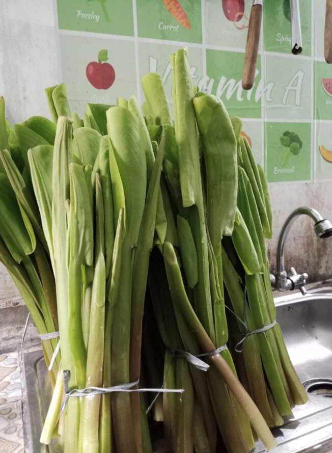 Daun genjer sayur frase per ikat | Lazada Indonesia