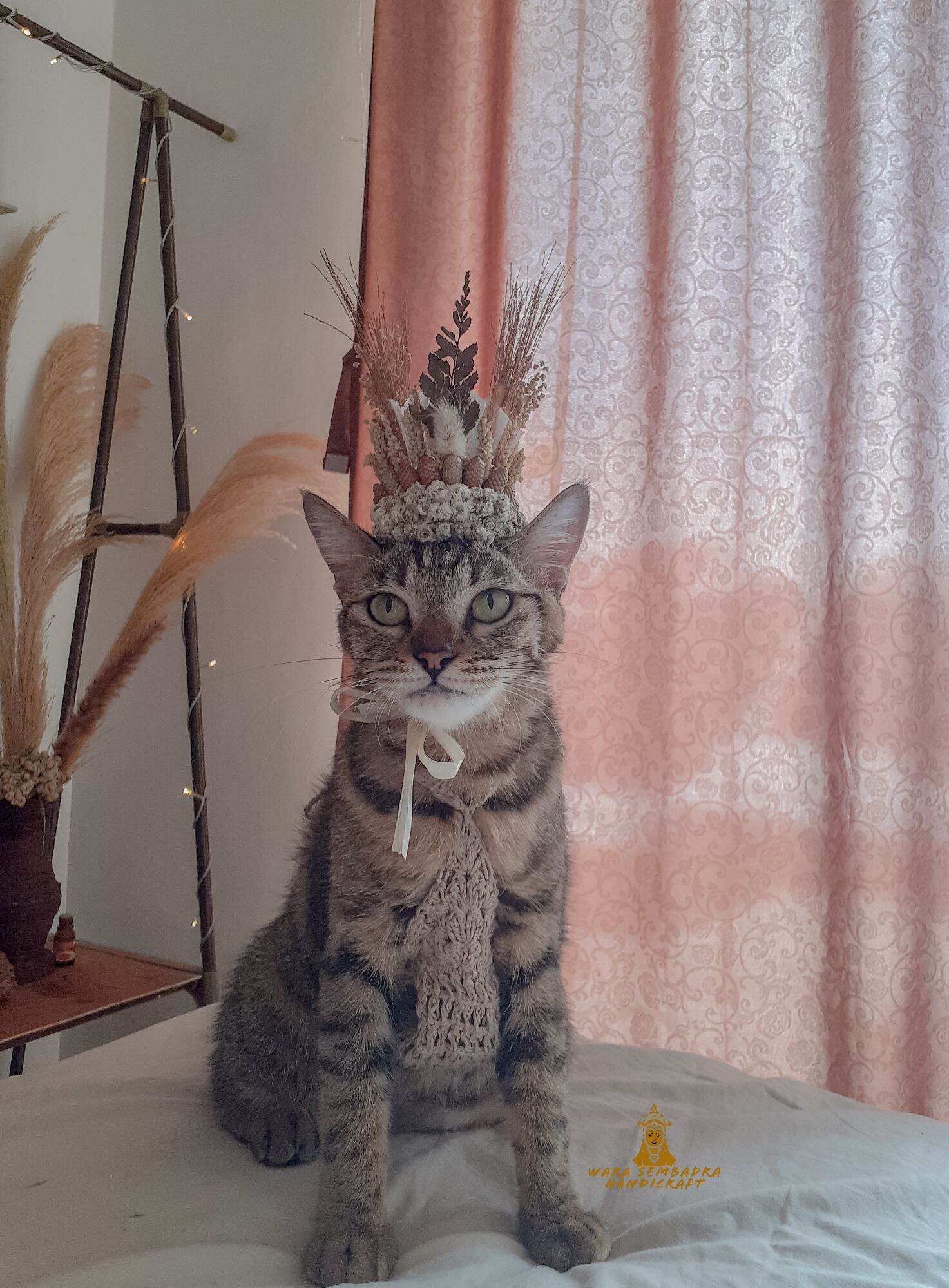 TOPI KUCING AESTHETIC | TOPI RAJA HUTAN | TOPI LION KING | TOPI LUCU ...