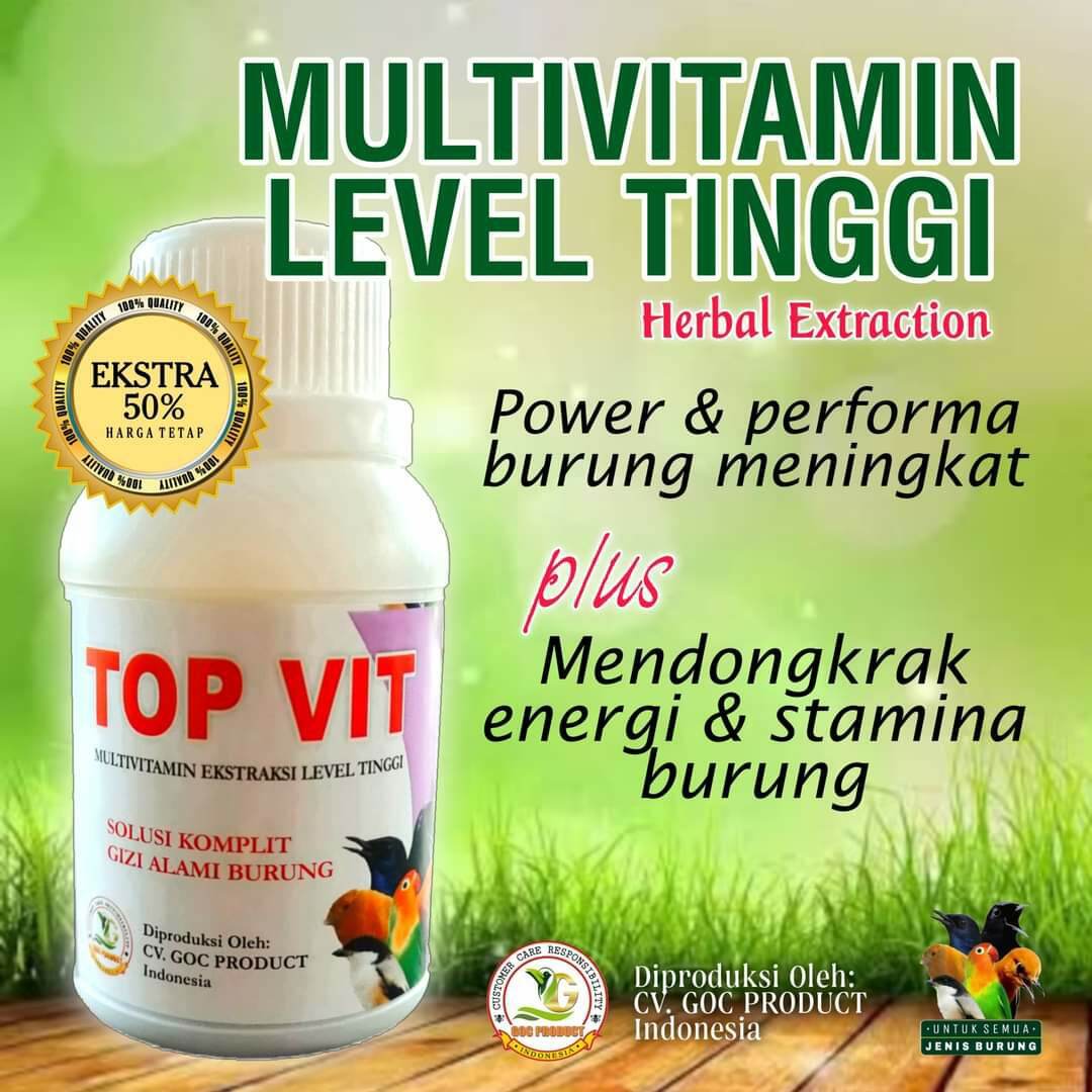 top Vit goc produk multivitamin extrasi level tinggi solusi komplit ...