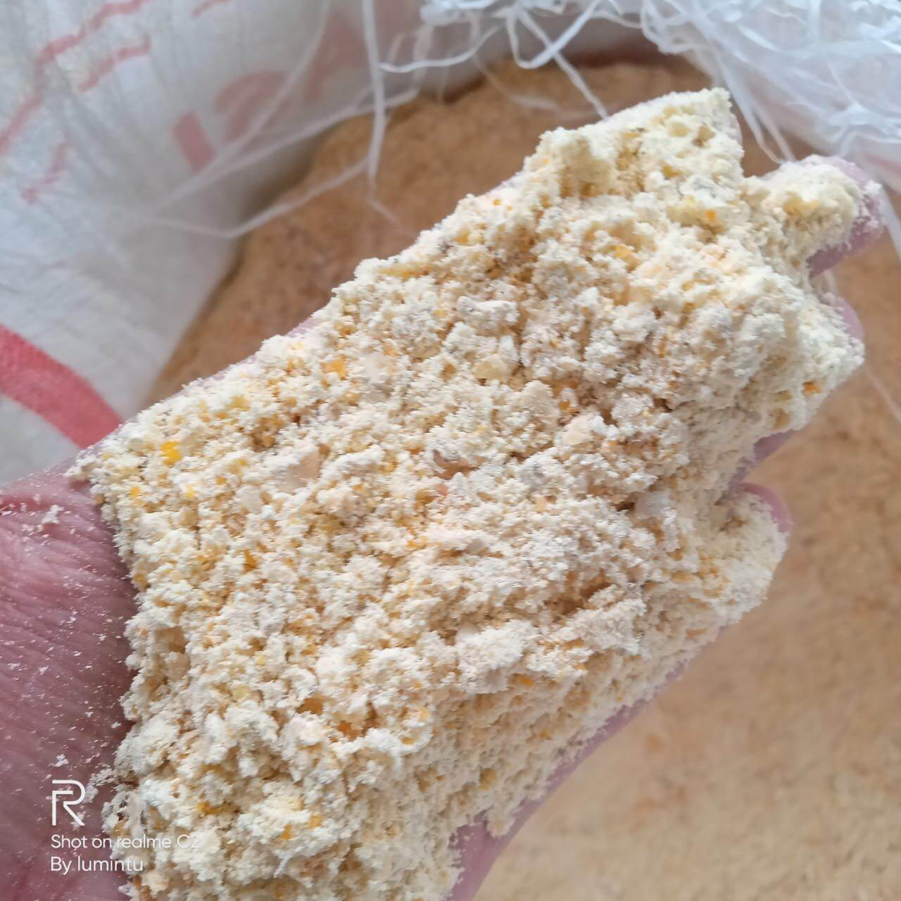 jagung giling lembut pakan unggas dan maanusia 1 kg | Lazada Indonesia