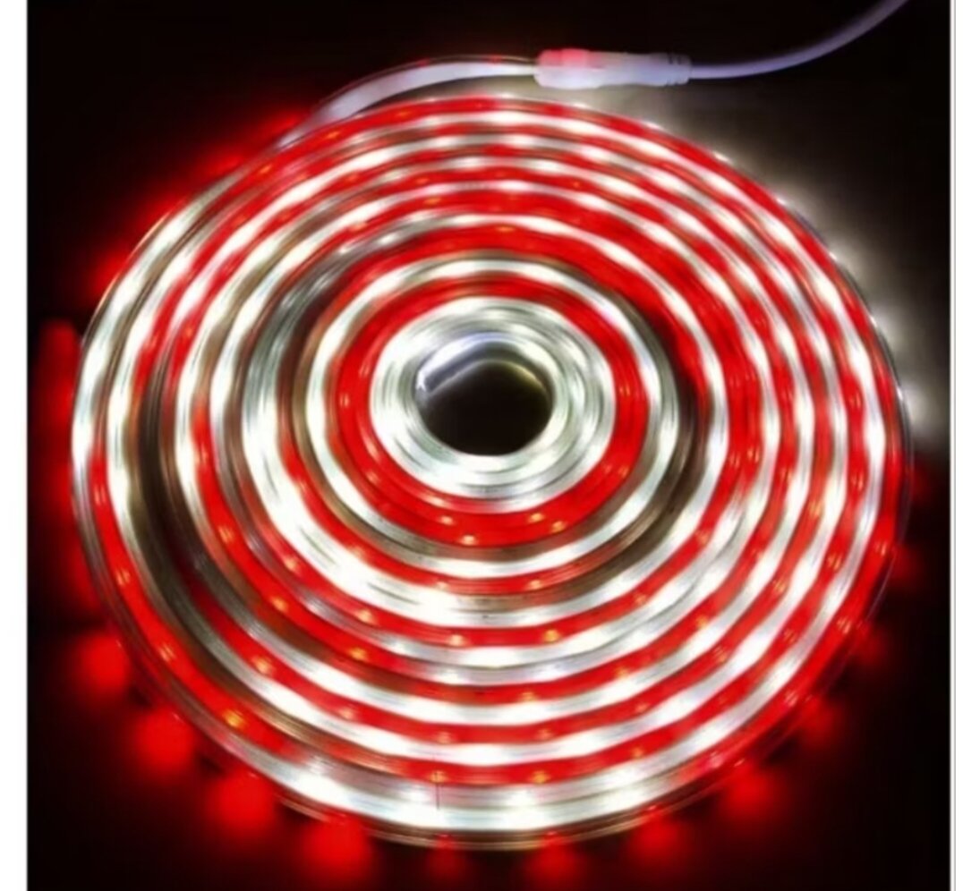 Lampu LED Strip Merah Putih/ lampu selang merah putih Emico + Soket ...