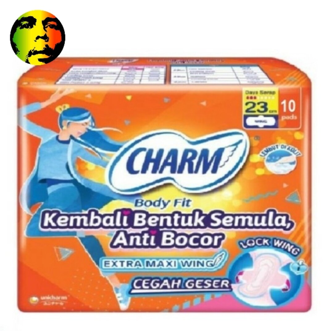Charm body fit wing 23cm 10s | Lazada Indonesia