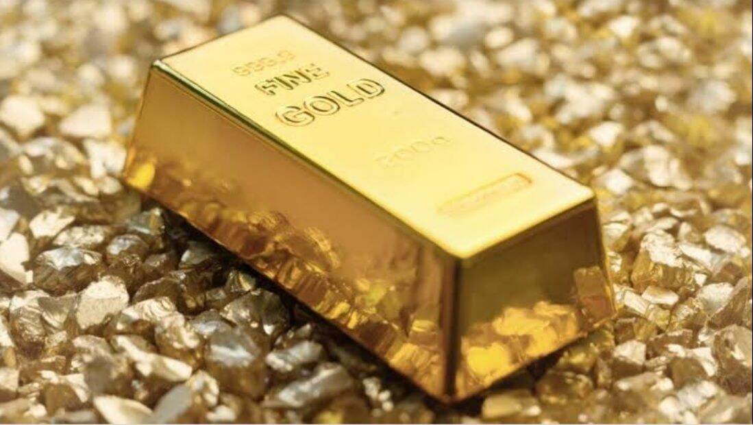 Lima Roti Dua Ikan. Toko resmi di Indonesia, Online Shop 02 2025