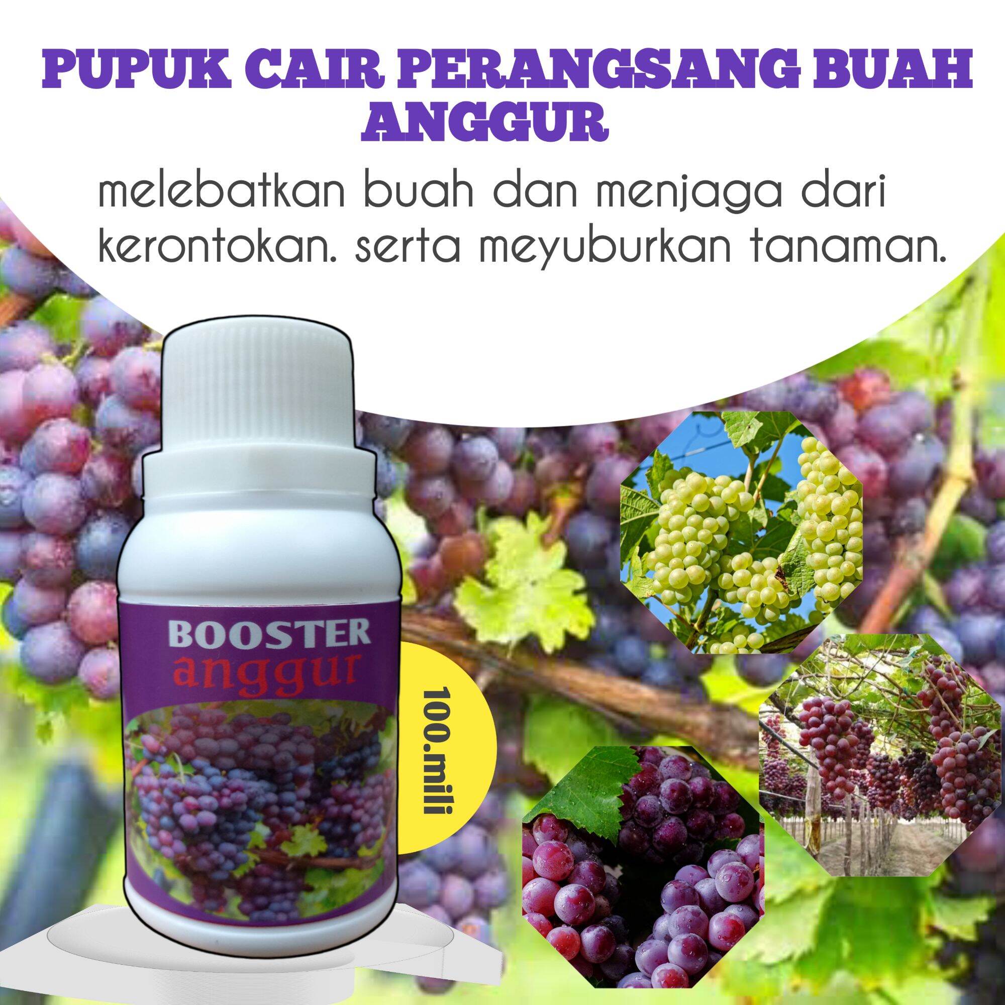BASICFARM | Pupuk cair organik booster anggur pelebat buah dan mempercepat pertumbuhan akar daun ...