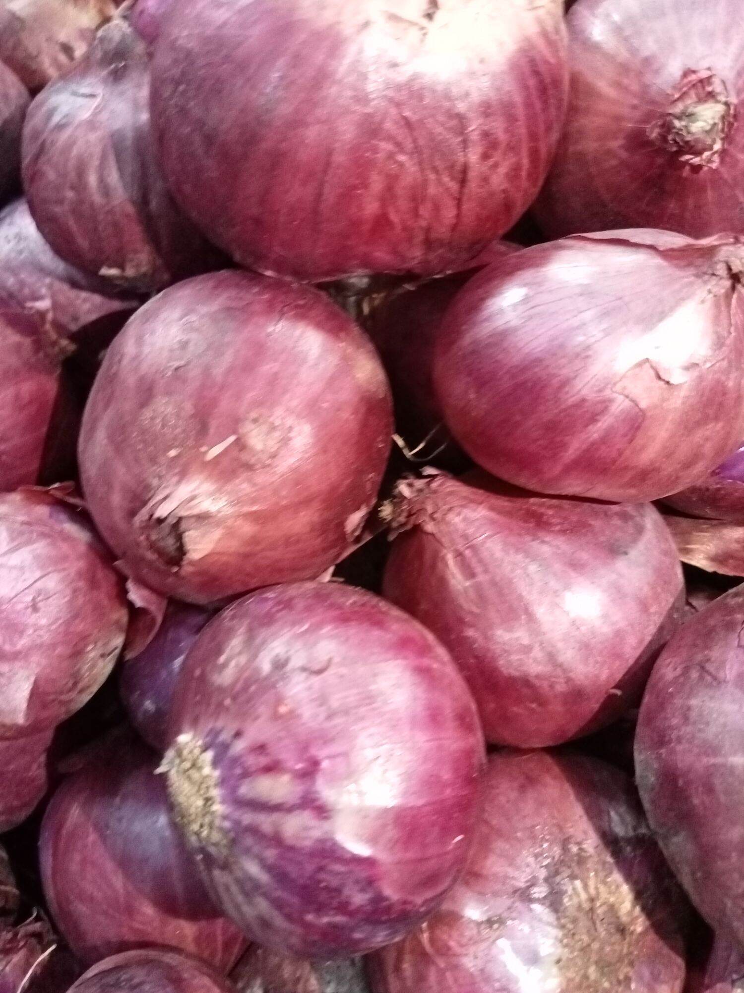 BAWANG MERAH PEKING 1 KG | Lazada Indonesia