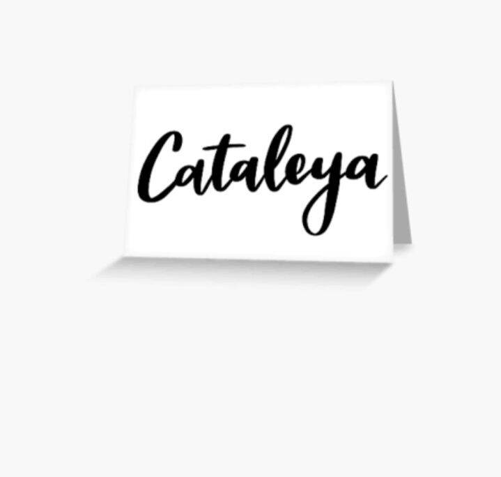 CATALEYA_ID Toko resmi di Indonesia, Online Shop 11 2024