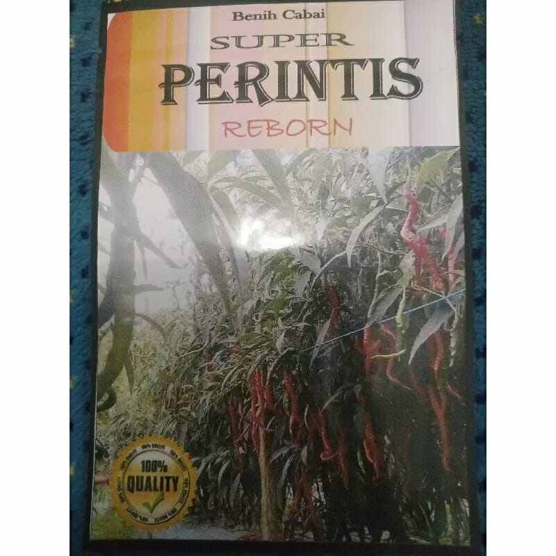 Benih Cabai Super Perintis Reborn 10g original dan Asli | Lazada Indonesia