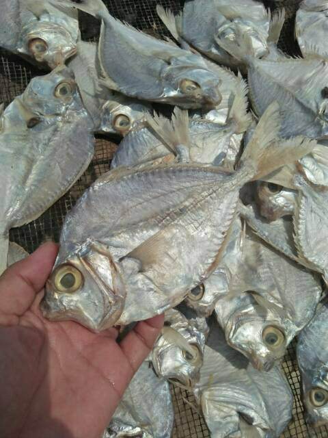 IKAN ASIN PETHEK / IKAN GEREH PETHEK 200 GR | Lazada Indonesia