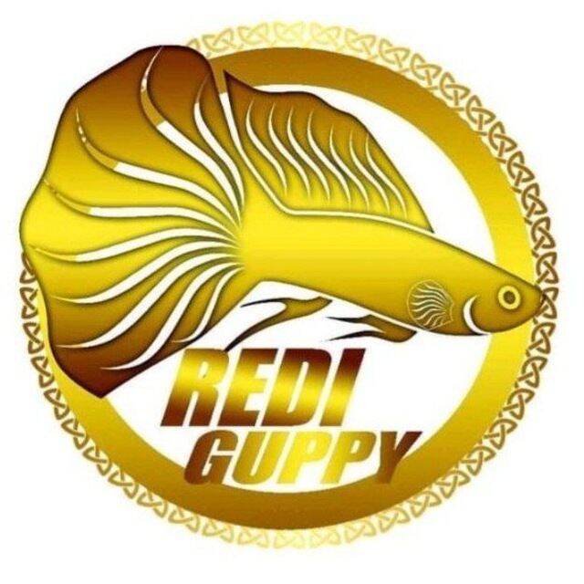 Redi Gallery Toko resmi di Indonesia, Online Shop 12 2024