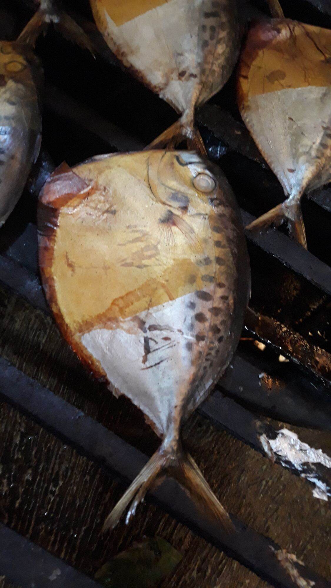 ikan asap ani2 isi 8 pc khas pemalang | Lazada Indonesia