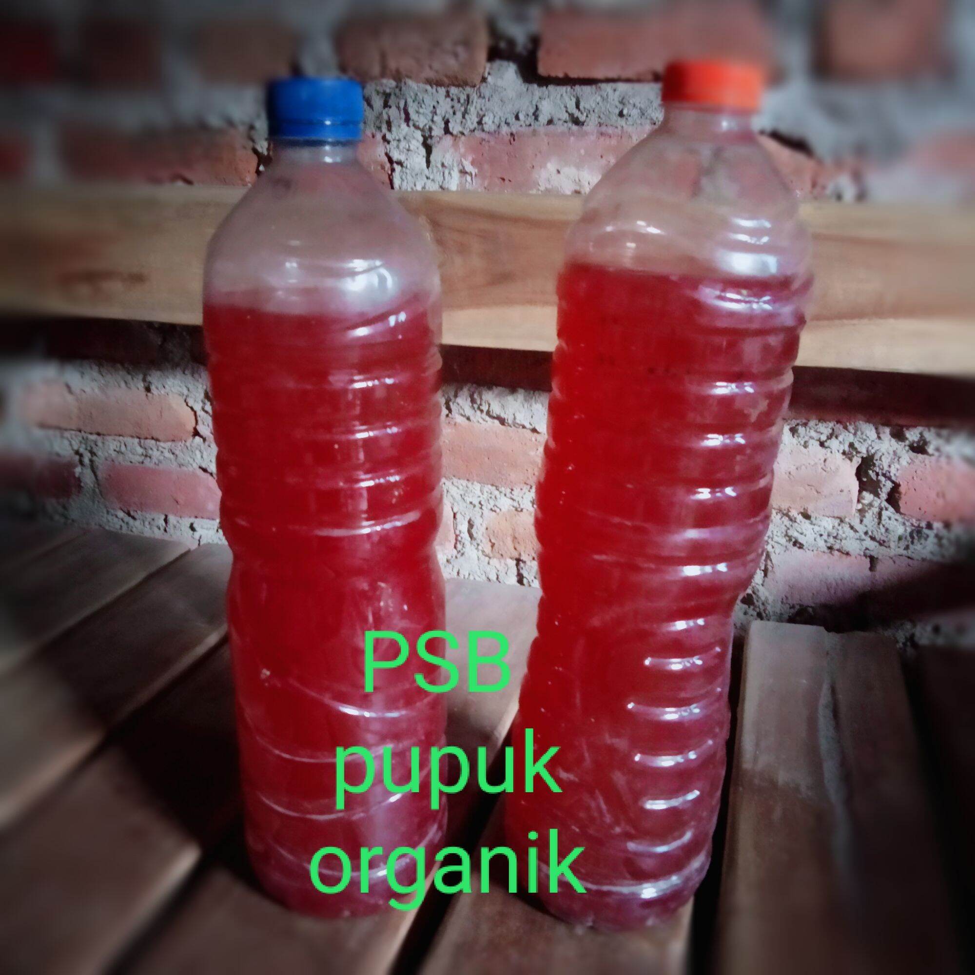 Pupuk Cair Organik/ PSB fotosintesis bakteri kemasan 1600 ml | Lazada ...