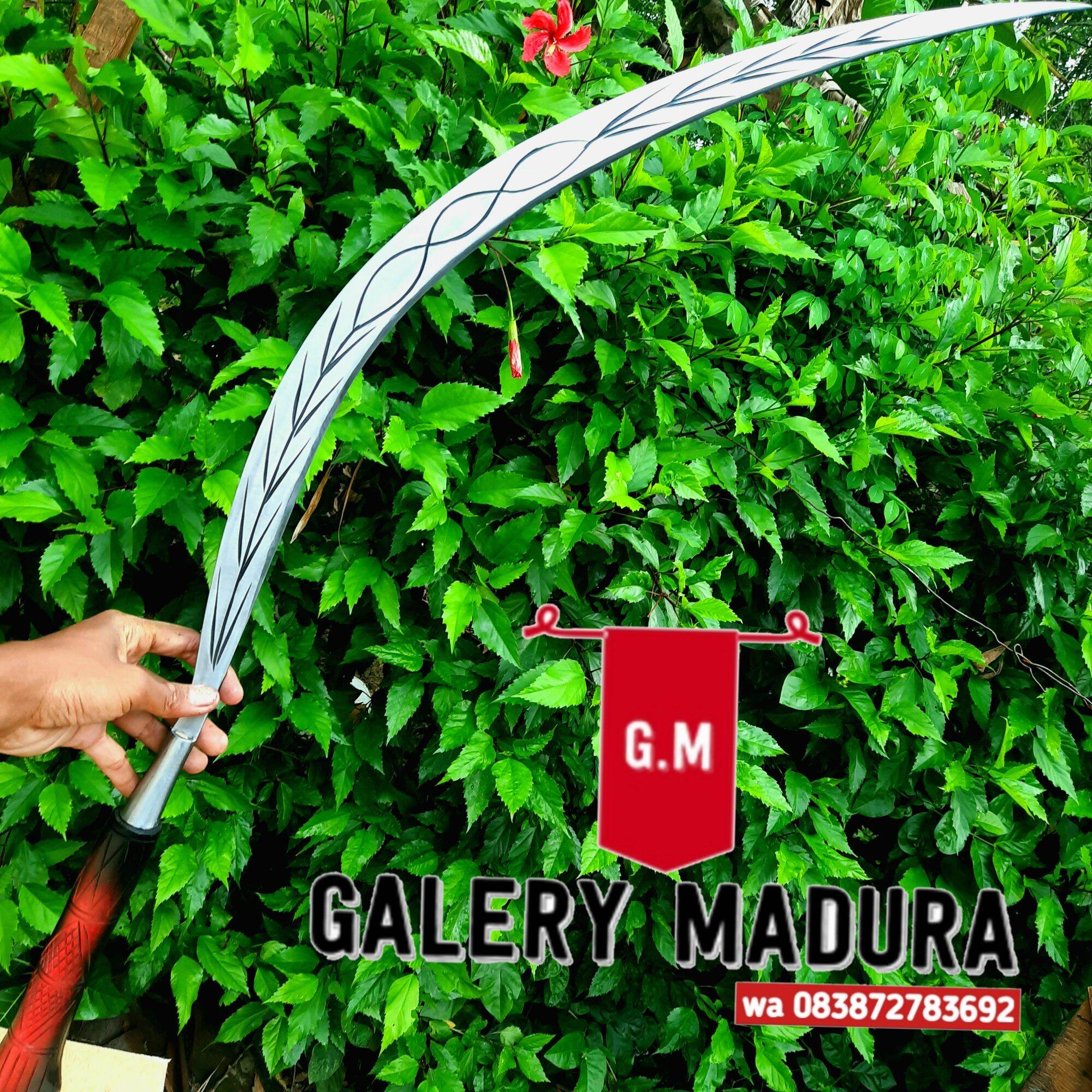 madura 00jumbo padi bulat | Lazada Indonesia