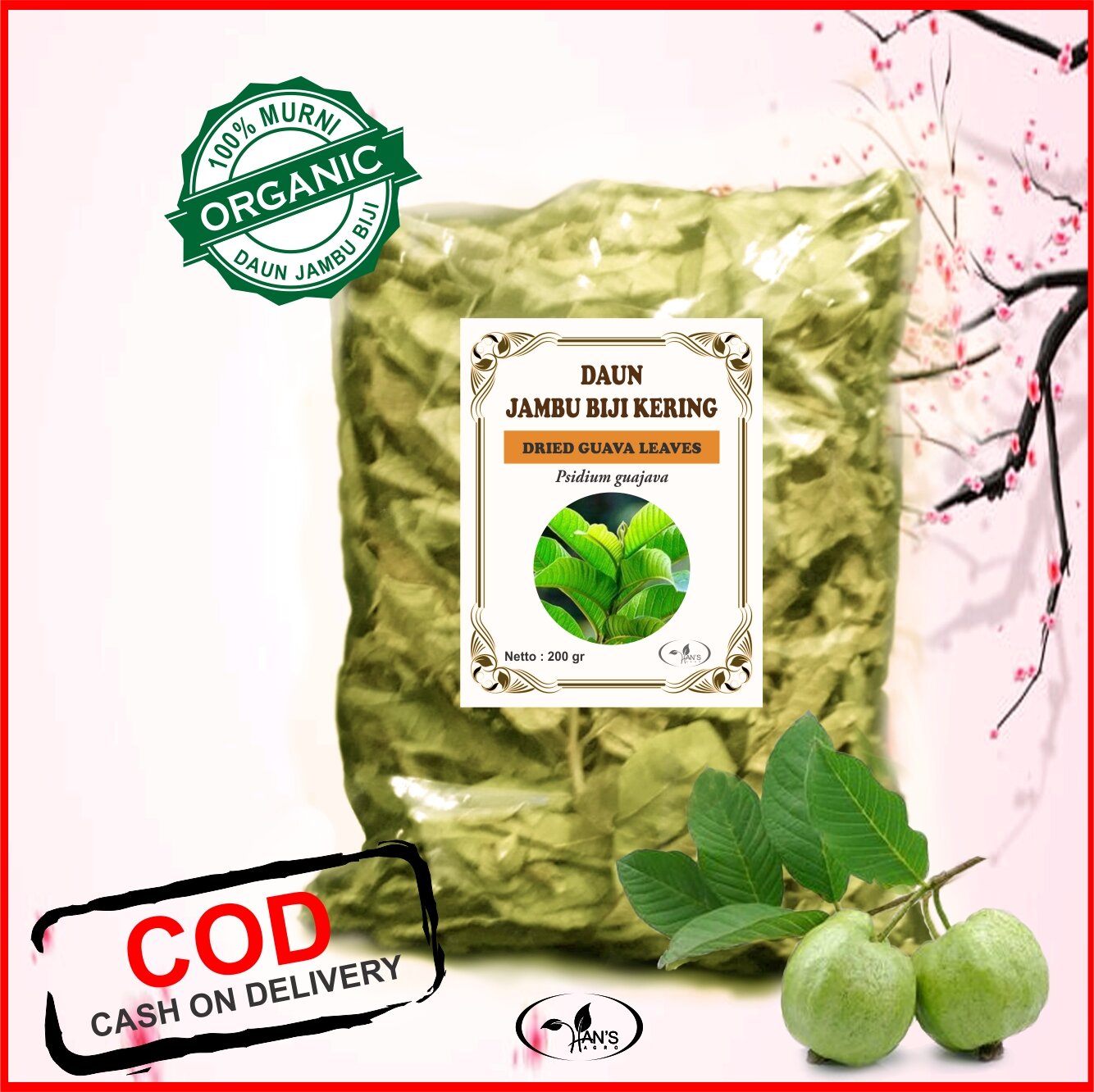 DAUN JAMBU BIJI KERING / Psidium Guajava,200 gram | Lazada Indonesia