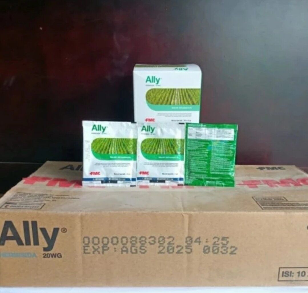 Herbisida Ally 5gr 1BOX ( isi 20 sachet) | Lazada Indonesia
