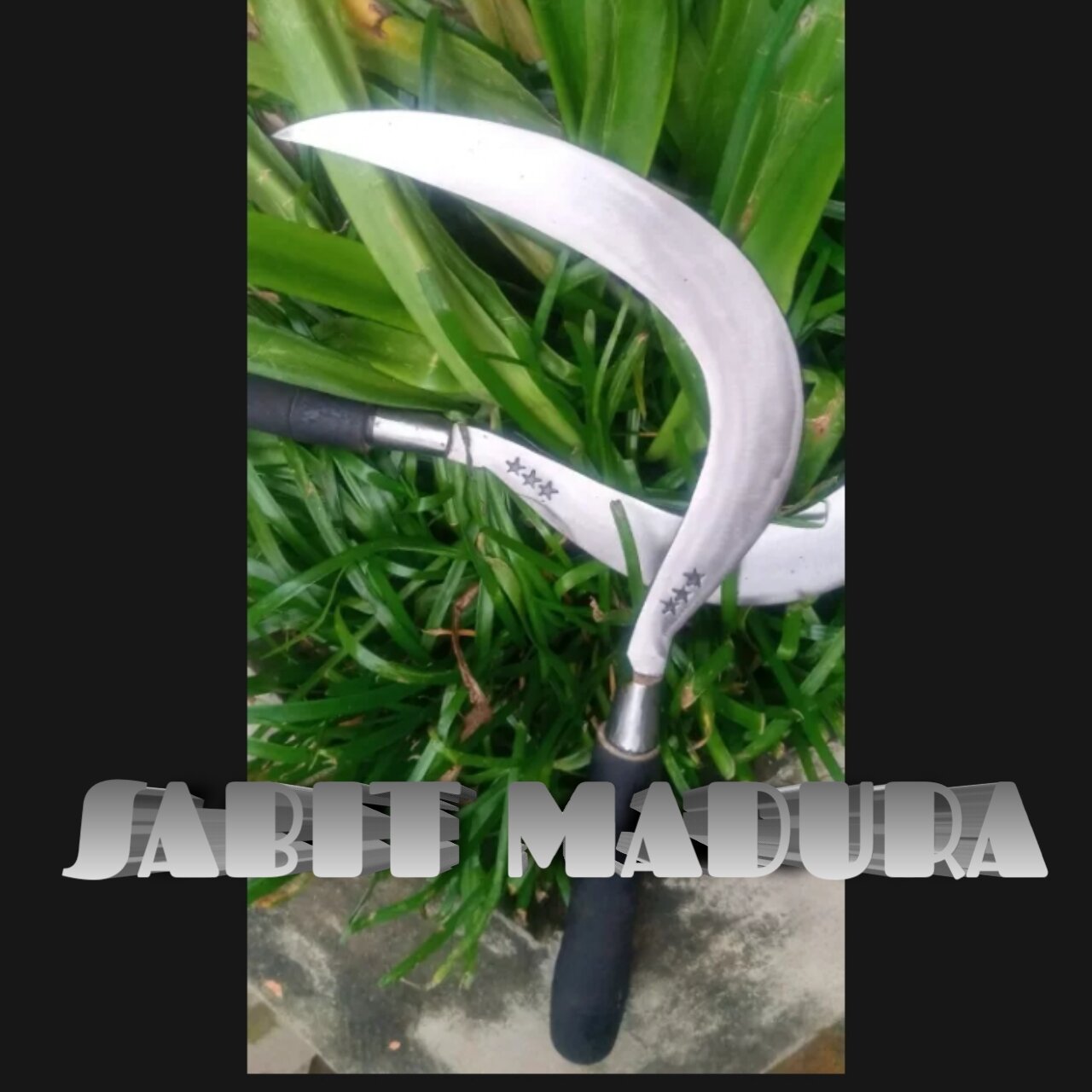 Alat berladang Sabit / Arit cap 3 Bintang Asli madura | Lazada Indonesia