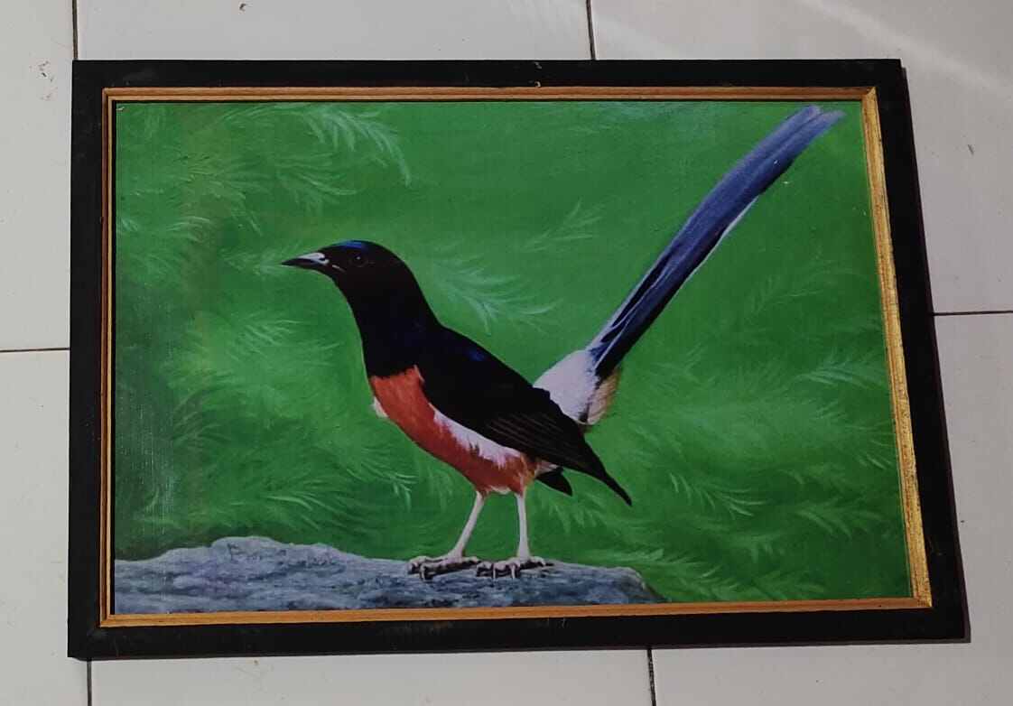 hiasan dinding lukisan cetak burung murai batu plus bingkai ukuran 65× ...