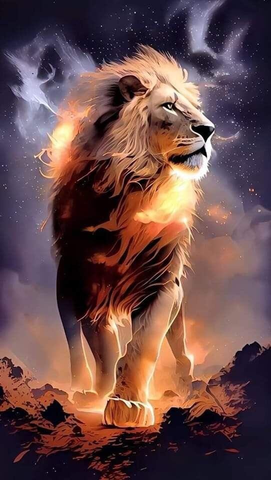 Hiasan Dinding, SINGA RAJA HUTAN, Ukuran JUMBO, 100x70cm DAN 150x100cm ...