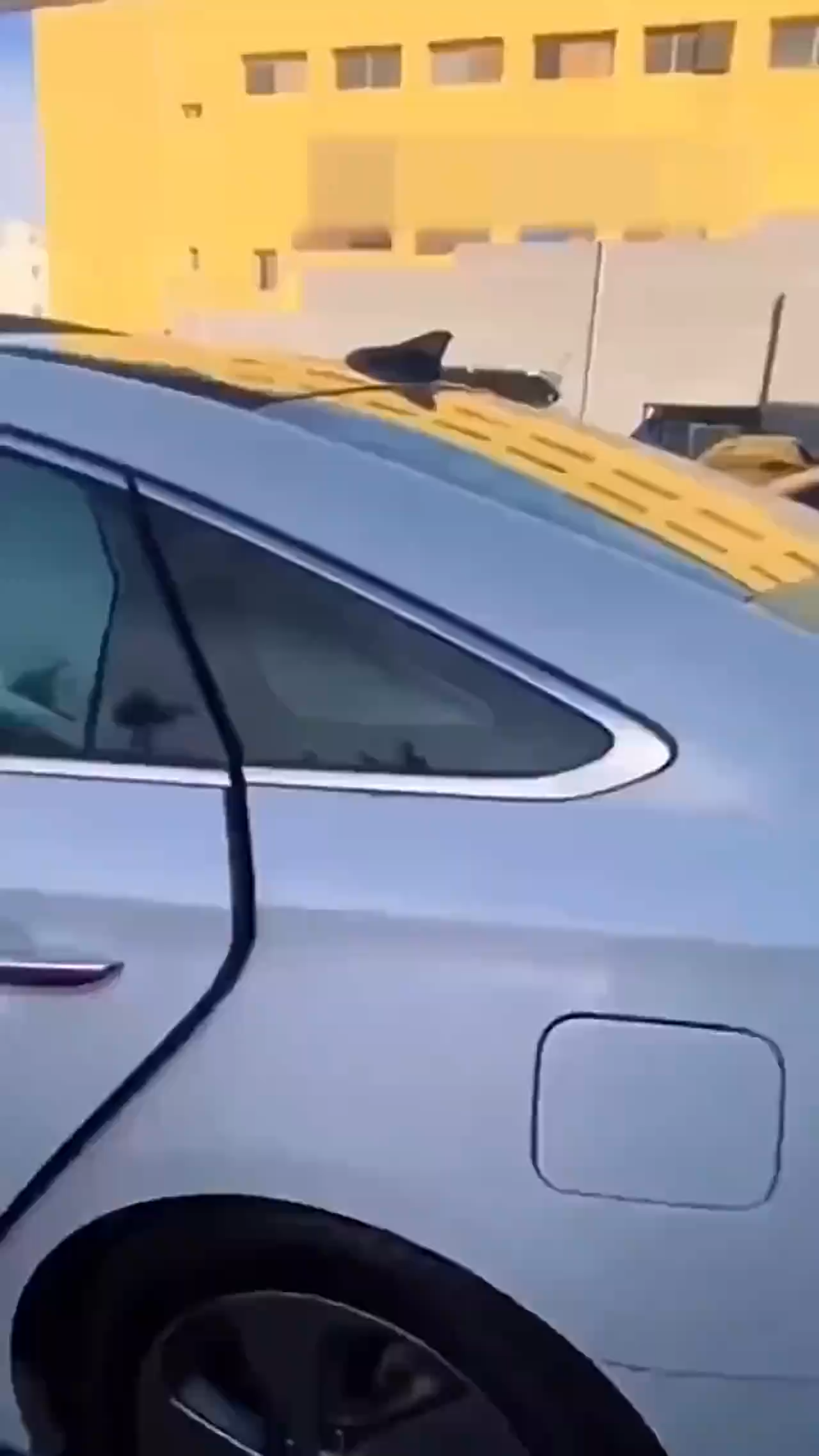 Penarik Penyok Body Mobil Heavy Duty Suction Cups Tool Remover for Car ...