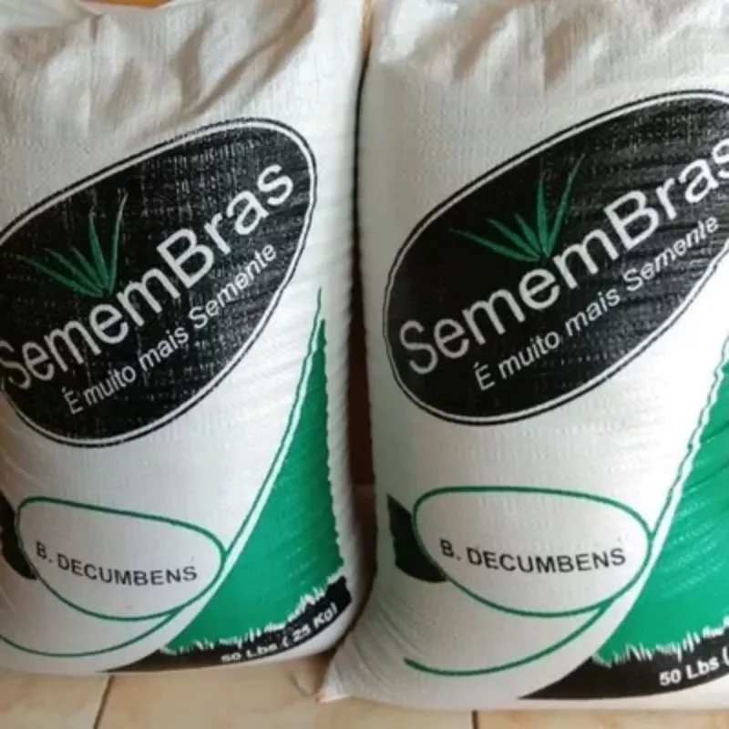 GRASS SEED - Bibit Biji Rumput / Benih Rumput Brachiaria Decumbens 5kg ...