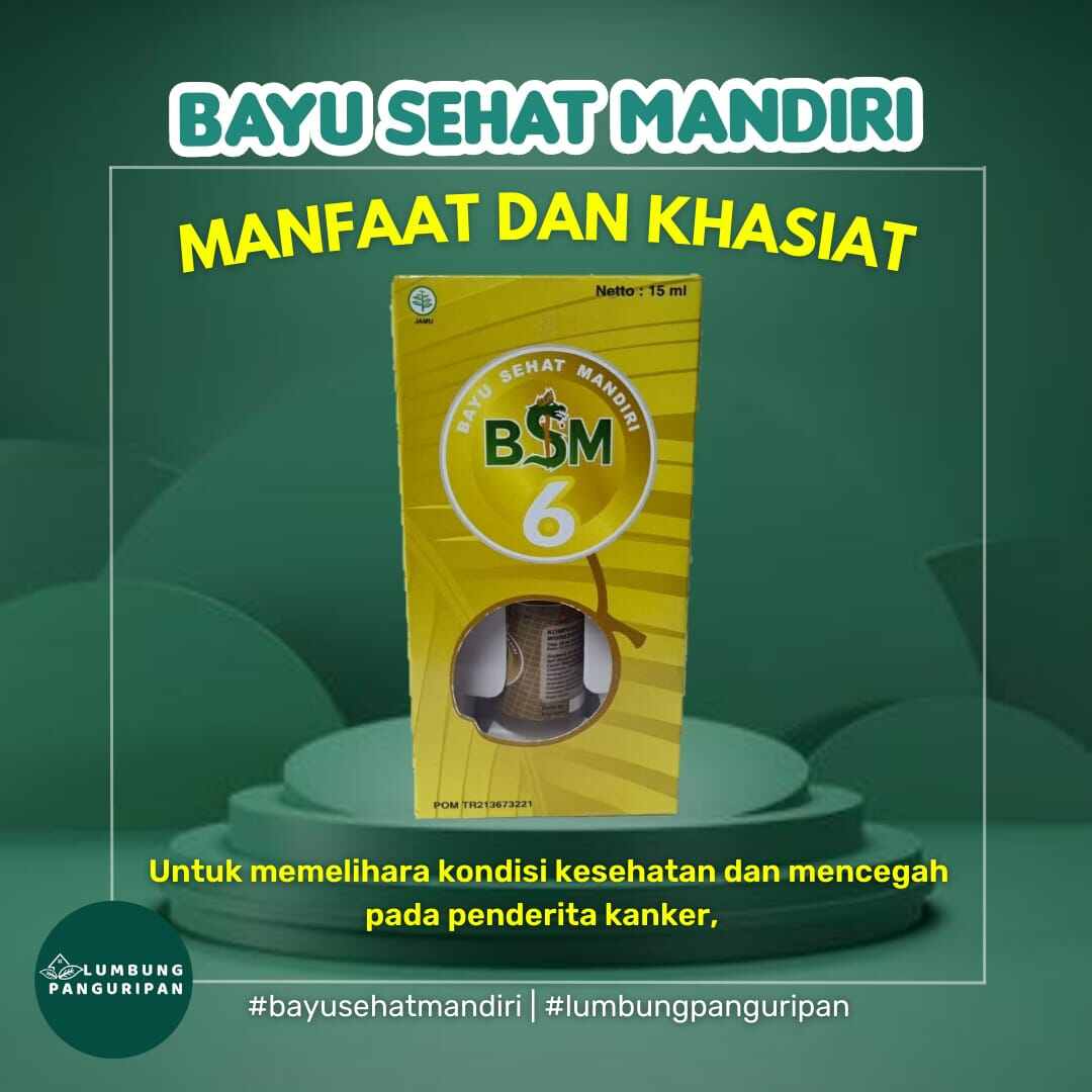 Bayu sehat mandiri BSM 6 | Lazada Indonesia