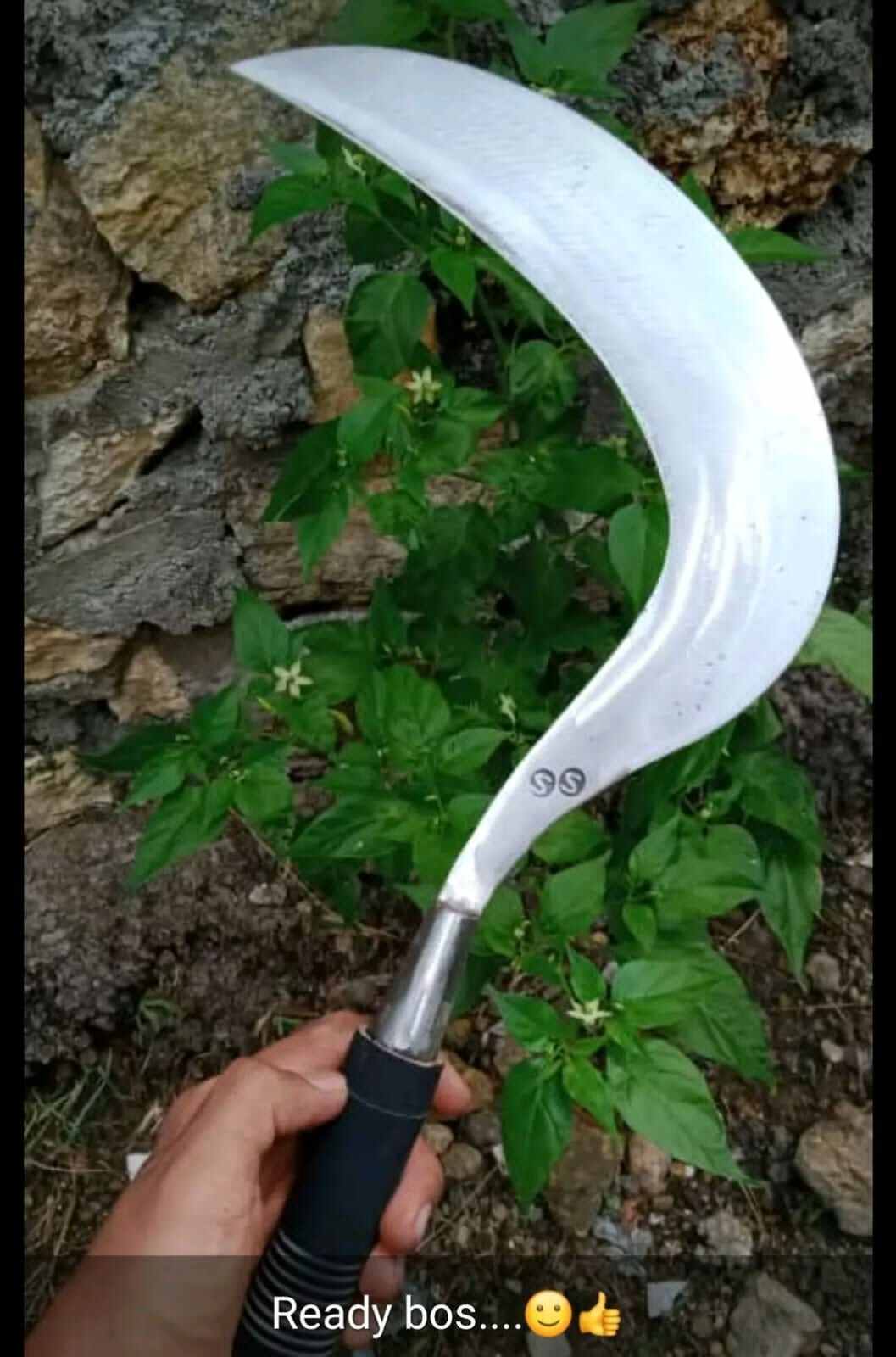 alat tani sabit rumput | Lazada Indonesia