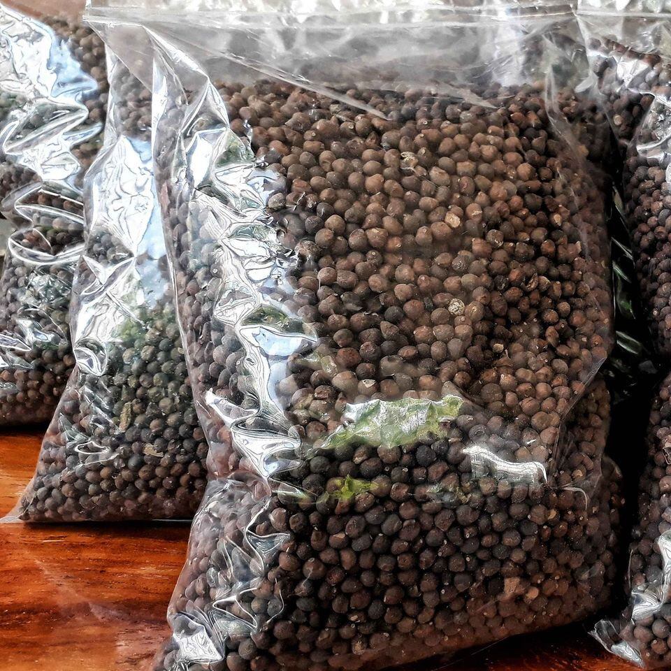 NMS-biji kapu biji pohon randu 500gr /klenteng madura | Lazada Indonesia