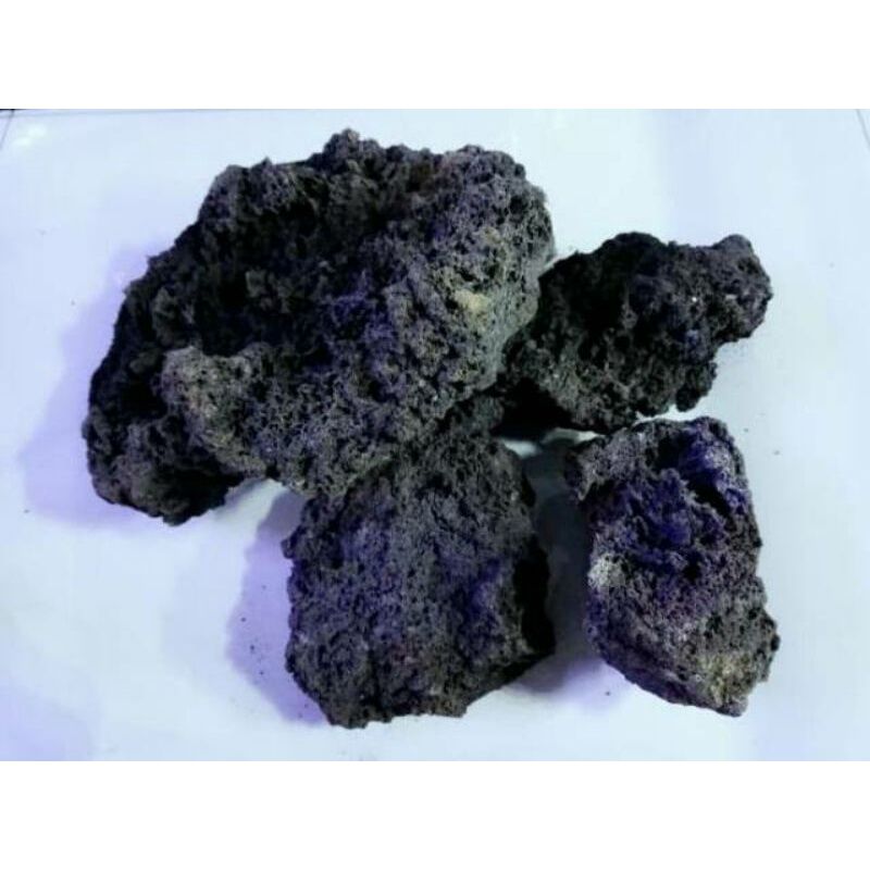 Batu Lava Rock Hitam 1 kg Aquascape Akuarium | Lazada Indonesia