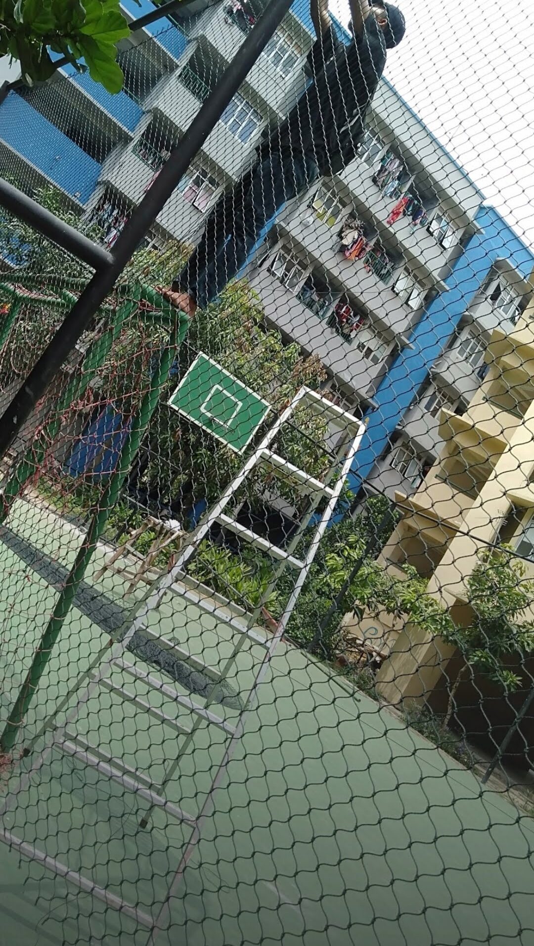 JARING LAPANGAN FUTSAL/JARING PENGAMAN FUTSAL D48 harga per M² | Lazada ...